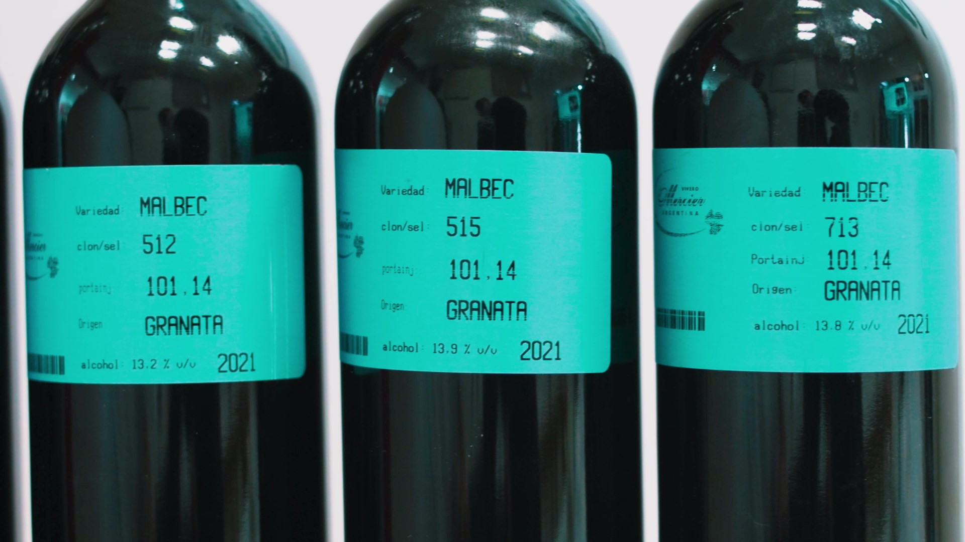 Por qué después del Malbec viene más Malbec – Alterrados